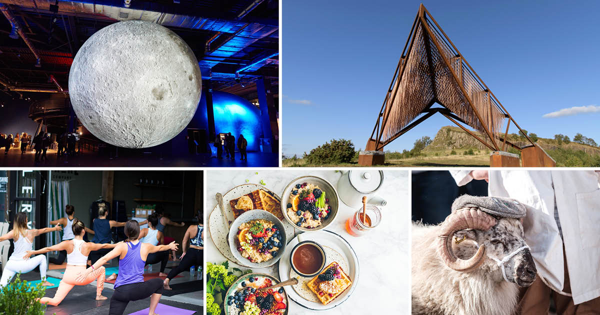 How To Spend Your Time This Autumn Weekend | Living North