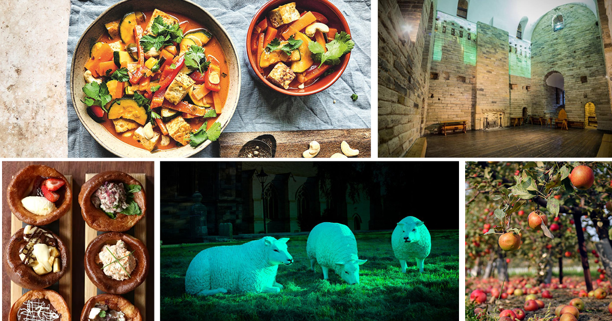 What To Do On The First Weekend of October | Living North