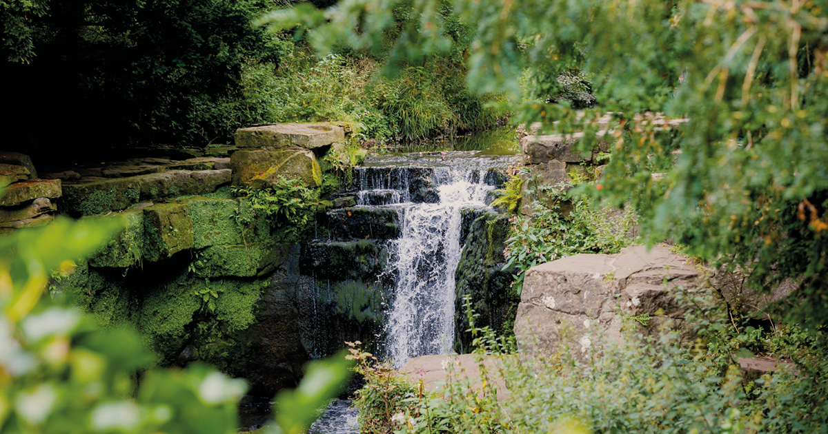 Why Jesmond is the Place to Be | Living North