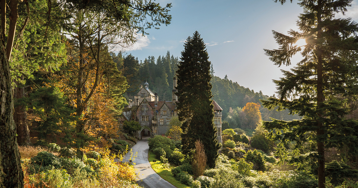 Explore the Stunning Grounds of Cragside for a Family-Friendly Day Out ...