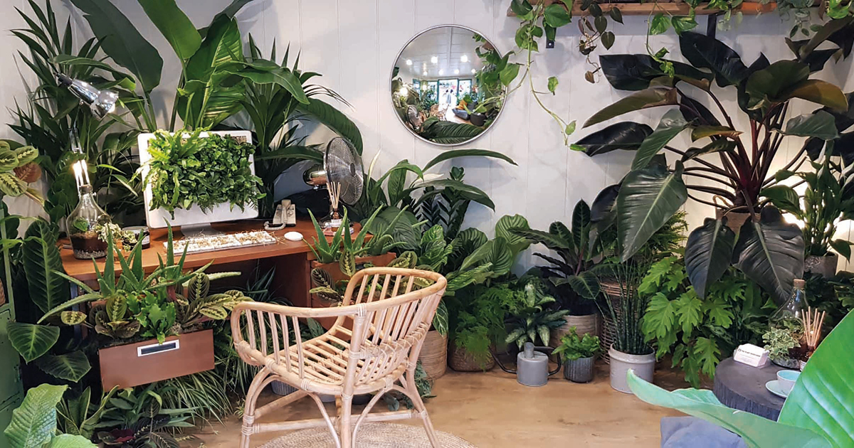 The Plant Workshop Owners on Making a Difference with House Plants ...