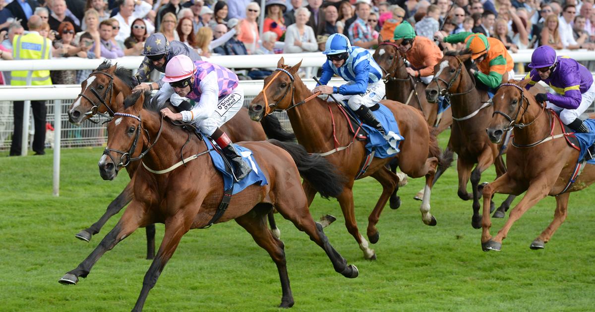 Win Two Tickets to Living Norths Raceday at Newcastle Racecourse on 8th ... Win Two Tickets to Living Norths Raceday at Newcastle Racecourse on 8th ...