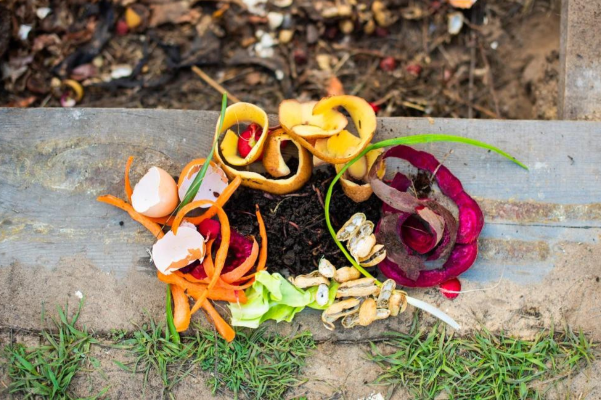 Seven Surprising Food Scraps You Can Use in the Garden | Living North