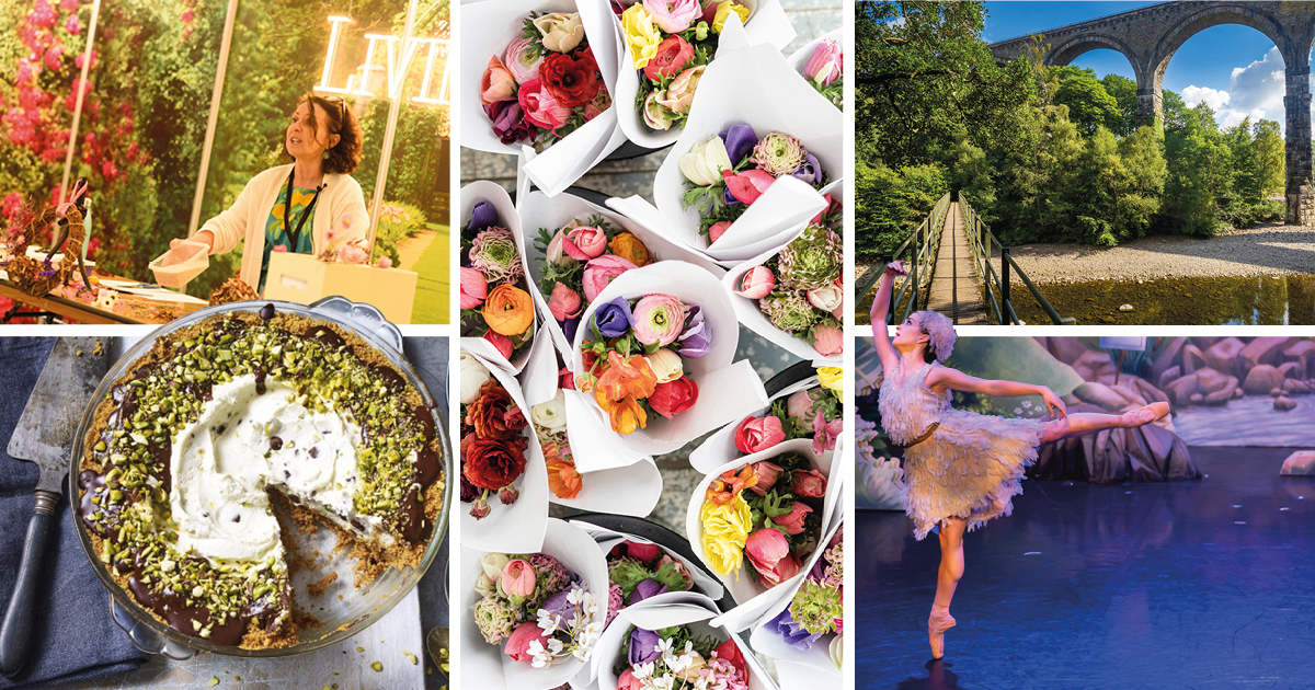 The Many Things to Do this March | Living North