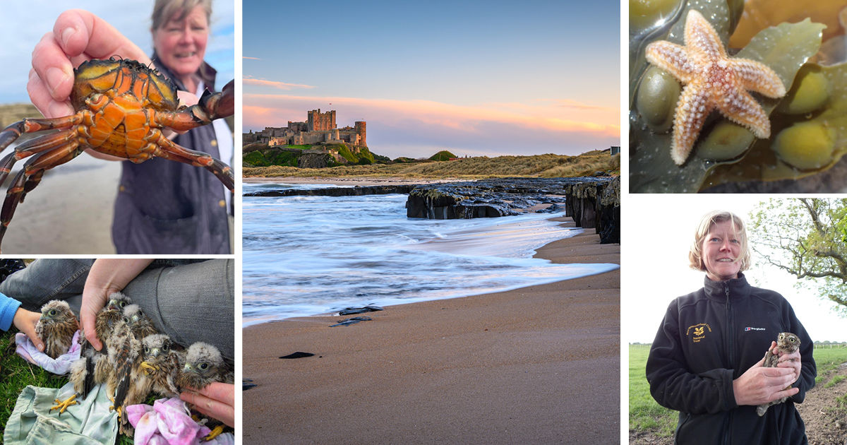 Meet Jane Dixon Who Runs Northumberland's Ranger Jane's Beach School in ...