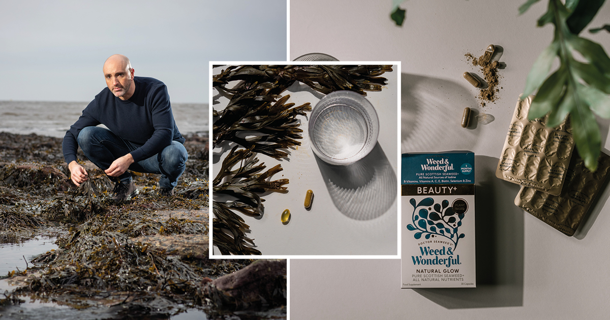 The Health Benefits of Seaweed with Whitley Bay's Doctor Seaweed ...
