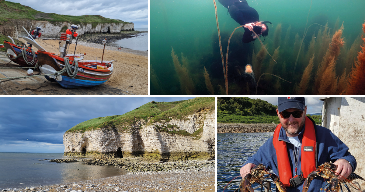 Meet Dr Bryce Stewart, University of York Researcher who has Featured ...