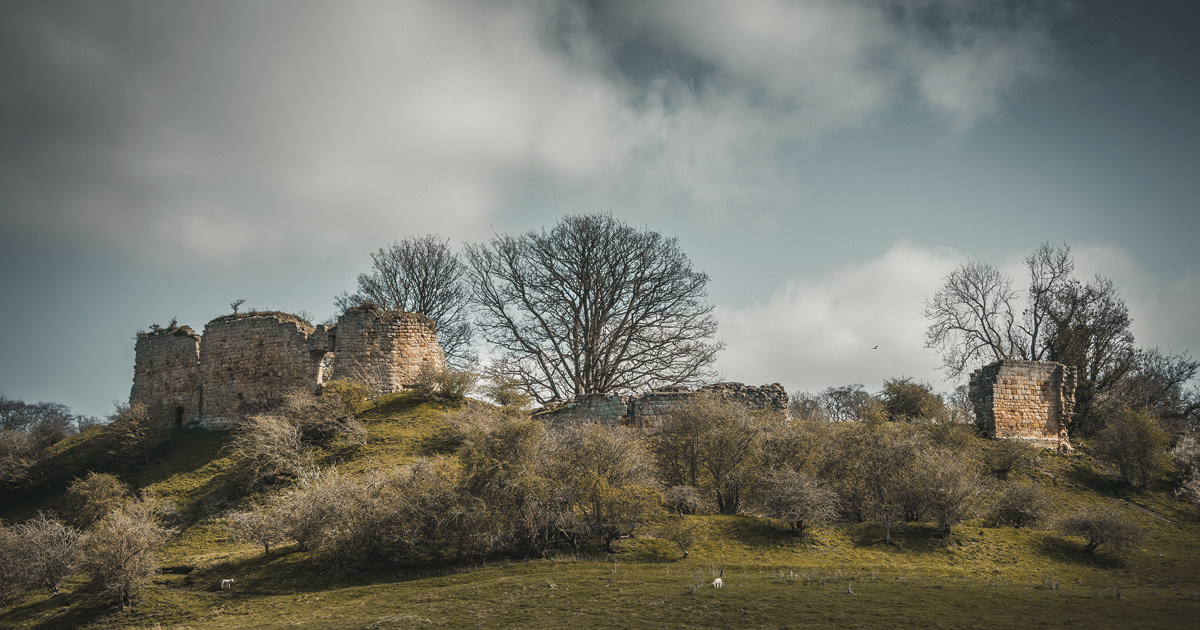 Why Local Photographer Jim Scott is Capturing the First Photographic ...