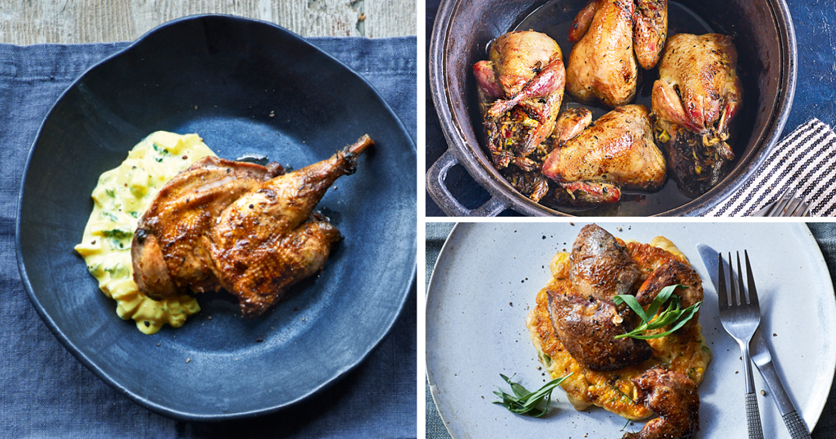Game recipes by Phil Vickery including Pheasant, Partridge and Snipe ...