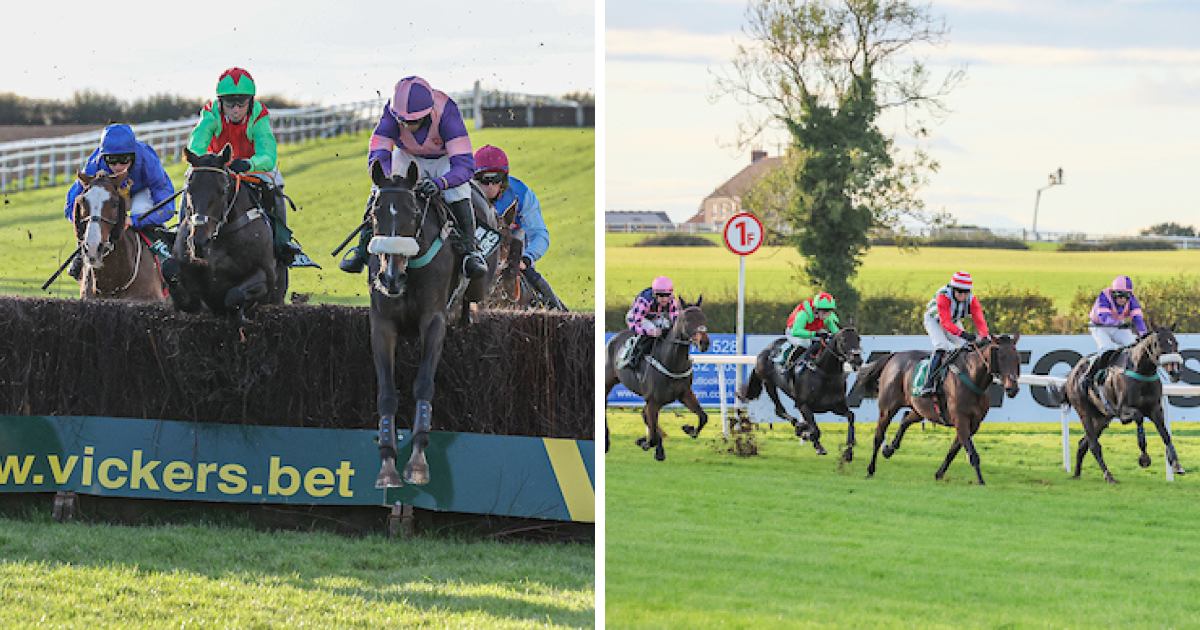 Where to Celebrate Boxing Day at Sedgefield Racecourse's Boxing Day ...