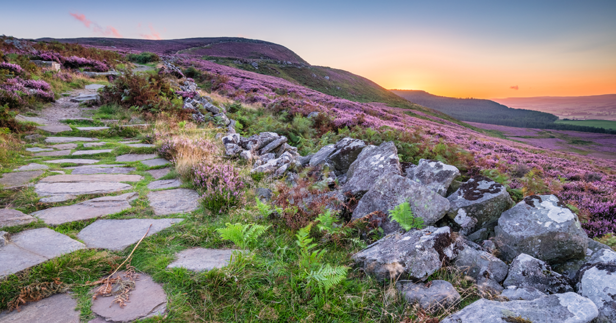 Country Walks in Newcastle, Northumberland and County Durham | Living North