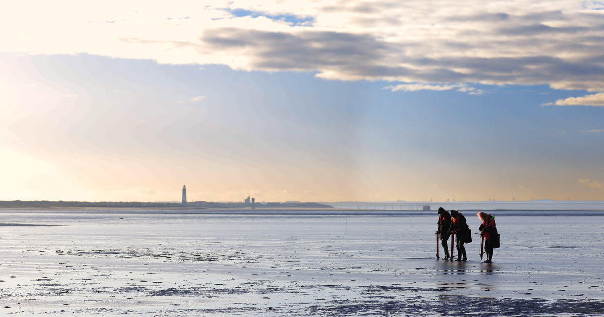 Yorkshire Wildlife Trust on the Wilder Humber Project, Oyster ...