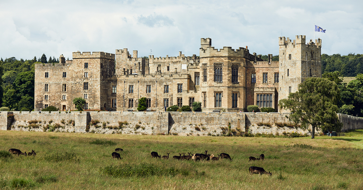 What's On at Raby Castle Near Darlington Including History Days Out ...