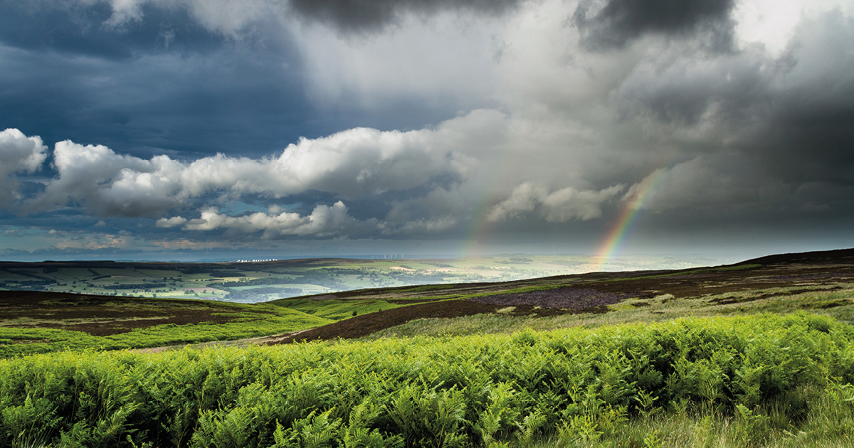What to See and Where to Go at West Yorkshire's New Nature Reserve the ...