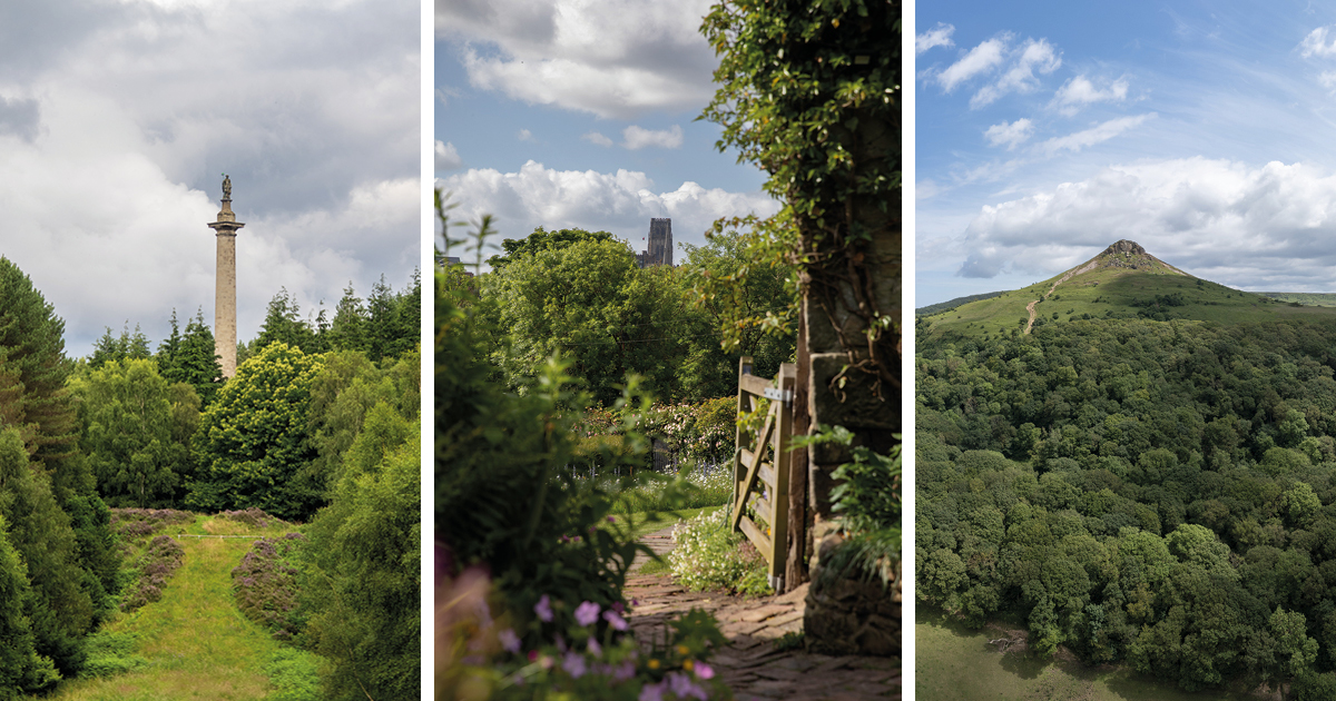 Where to Walk the North East's New Green Corridors including the Tyne ...