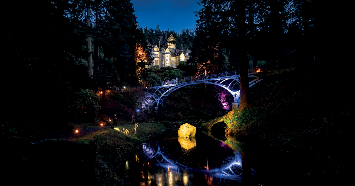 What's On at Cragside this Christmas including the Tallest Living ...